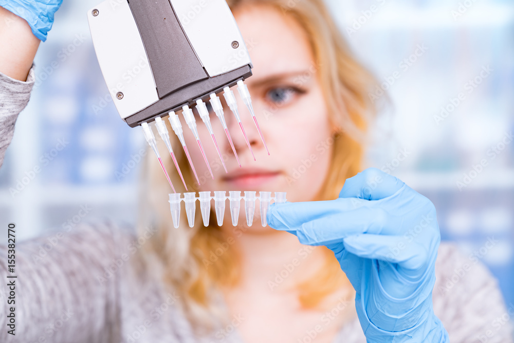 Young female scientist loads samples DNA amplification by PCR into ...