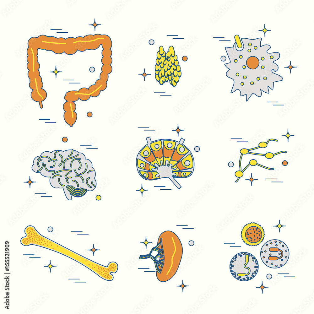 immune system icon set Stock Vector | Adobe Stock