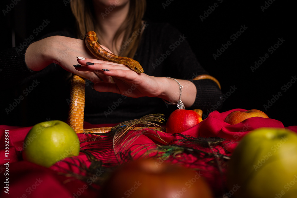 The snake participates in the magical ritual of the witch Stock-Foto ...