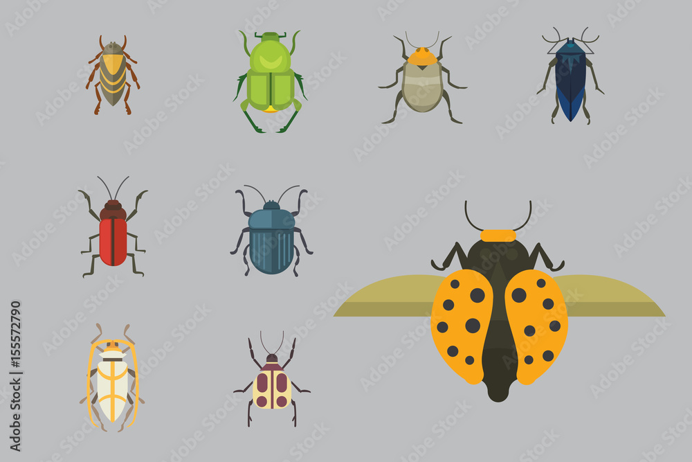 Set of insects flat style vector design icons. Collection nature beetle ...