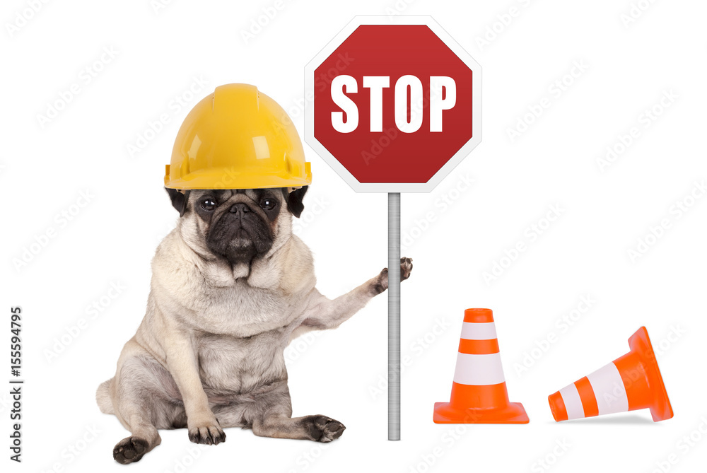 pug dog with yellow constructor safety helmet and red stop sign on pole ...