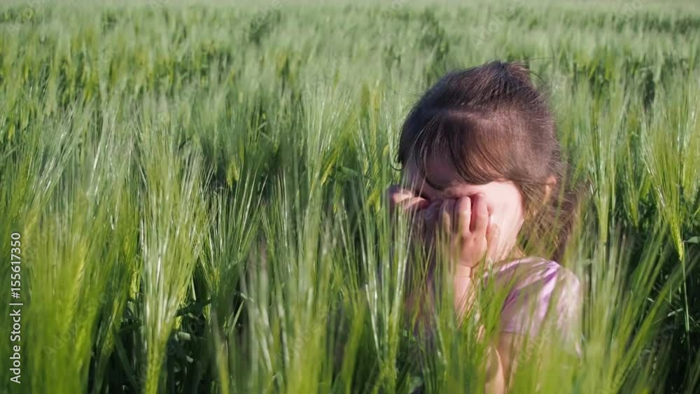 Emotions of the child on the wheat field. A little girl is crying in ...