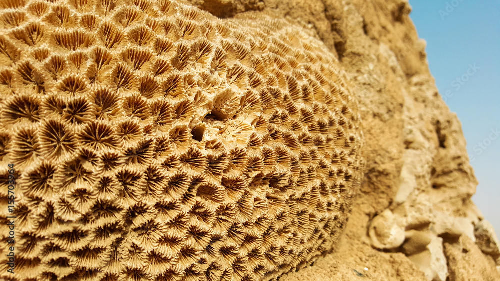 Sea texture Stock Photo | Adobe Stock