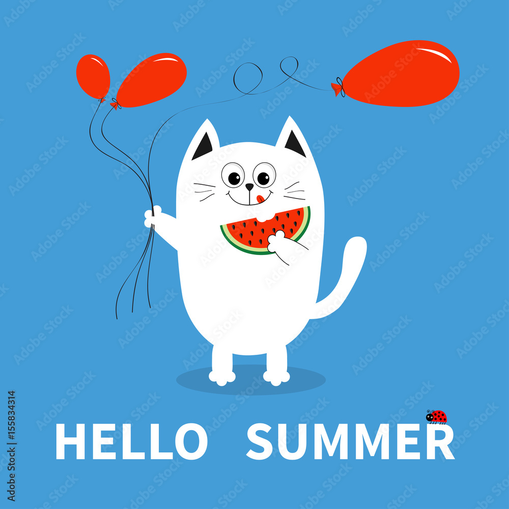 Hello summer. White cat holding red balloon, watermelon. Ladybug insect ...