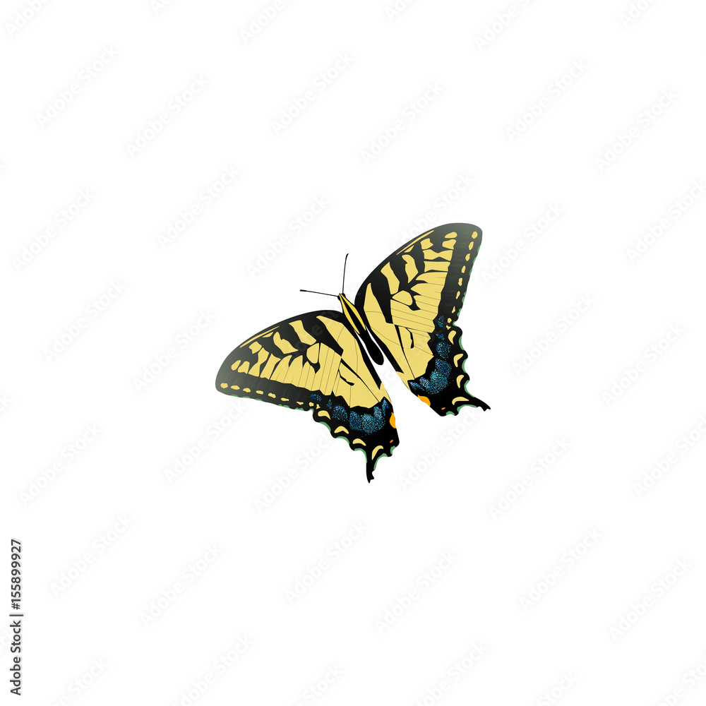 Realistic Tiger Swallowtail Element. Vector Illustration Of Realistic ...