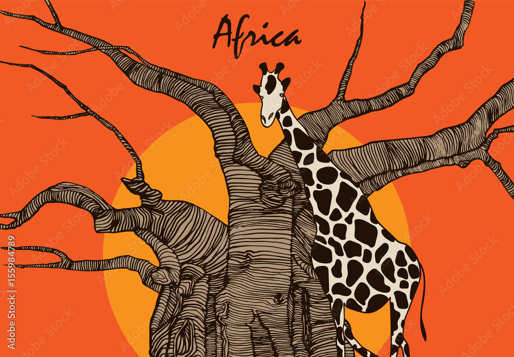 Giraffe and African tree on a sunset background. Funny cartoon ...