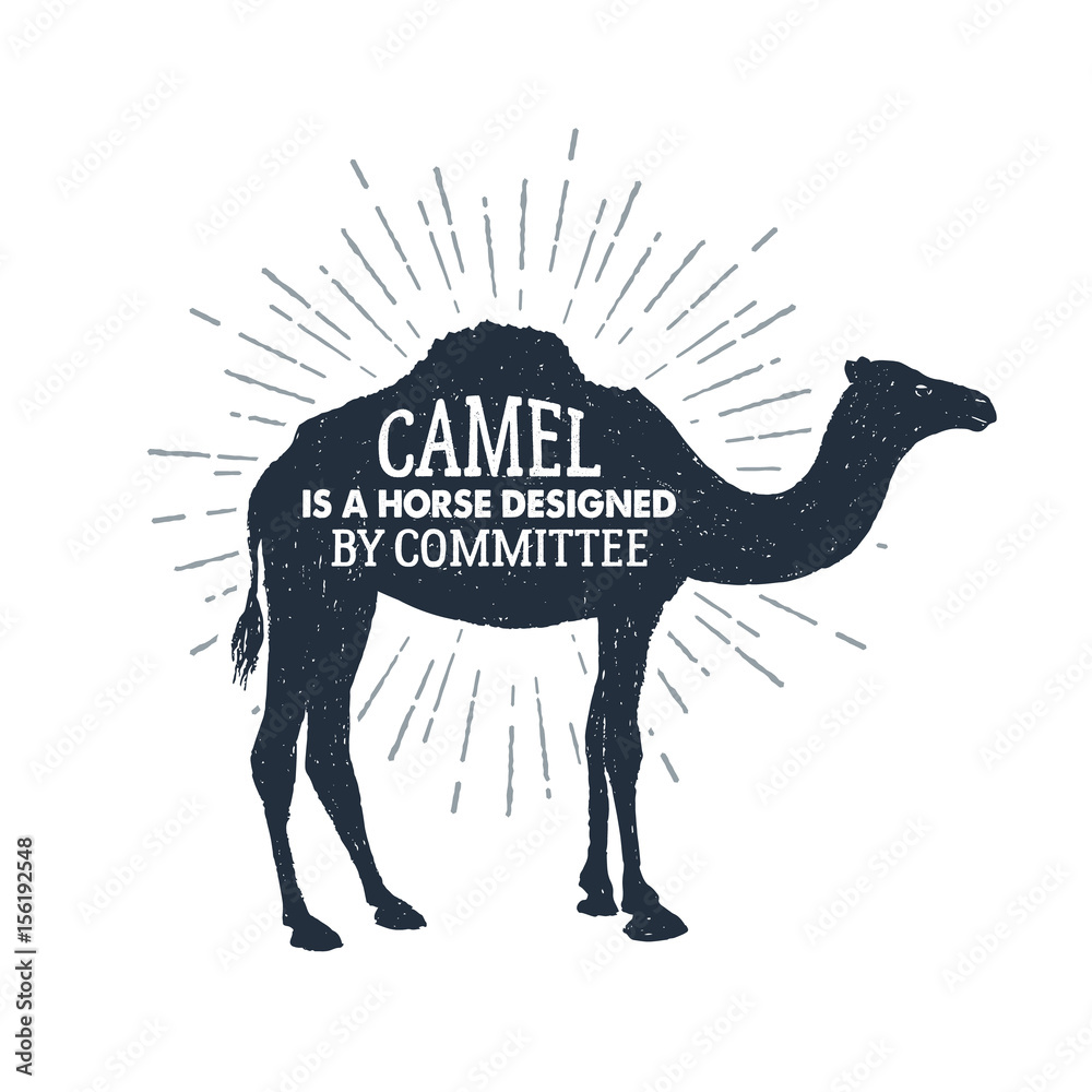 Hand drawn label with textured camel vector illustration and "Camel is ...