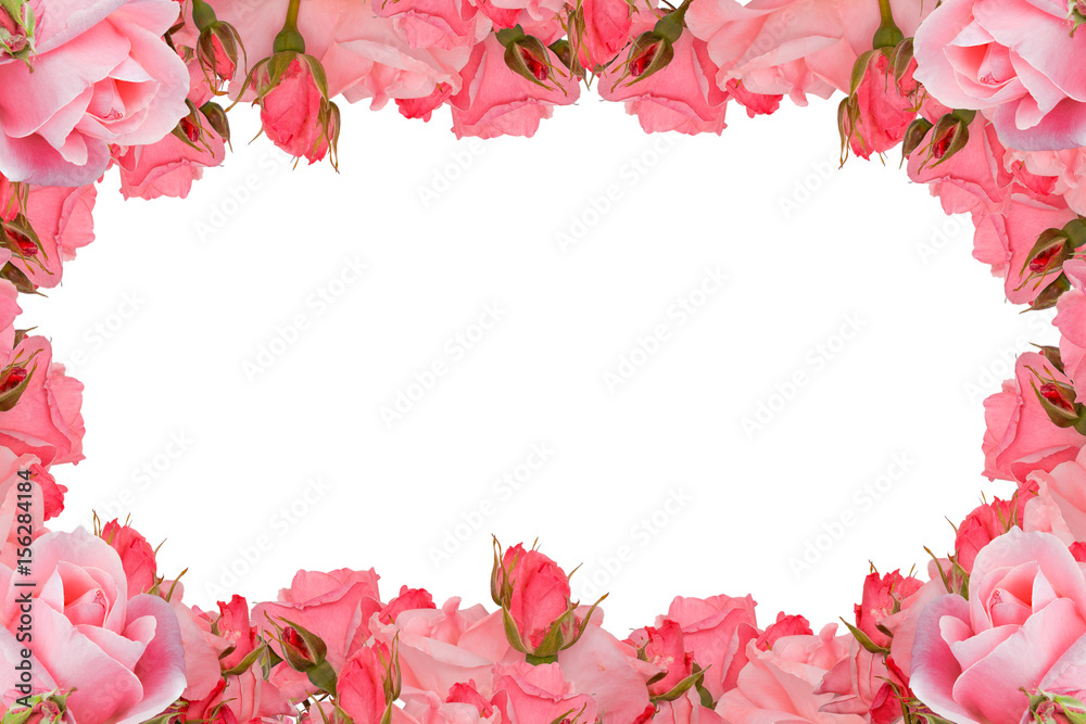 Fresh pink roses frame border isolated on white background Stock Photo ...