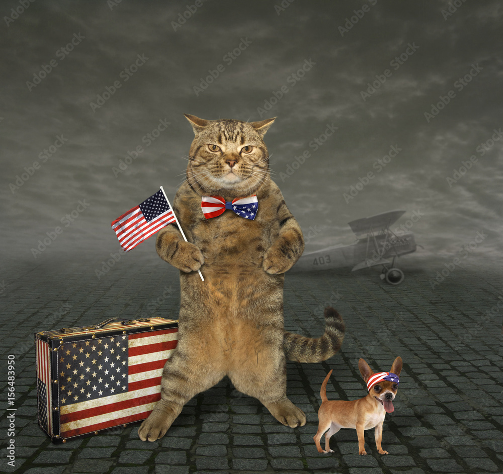 Patriotic Cat And Dog