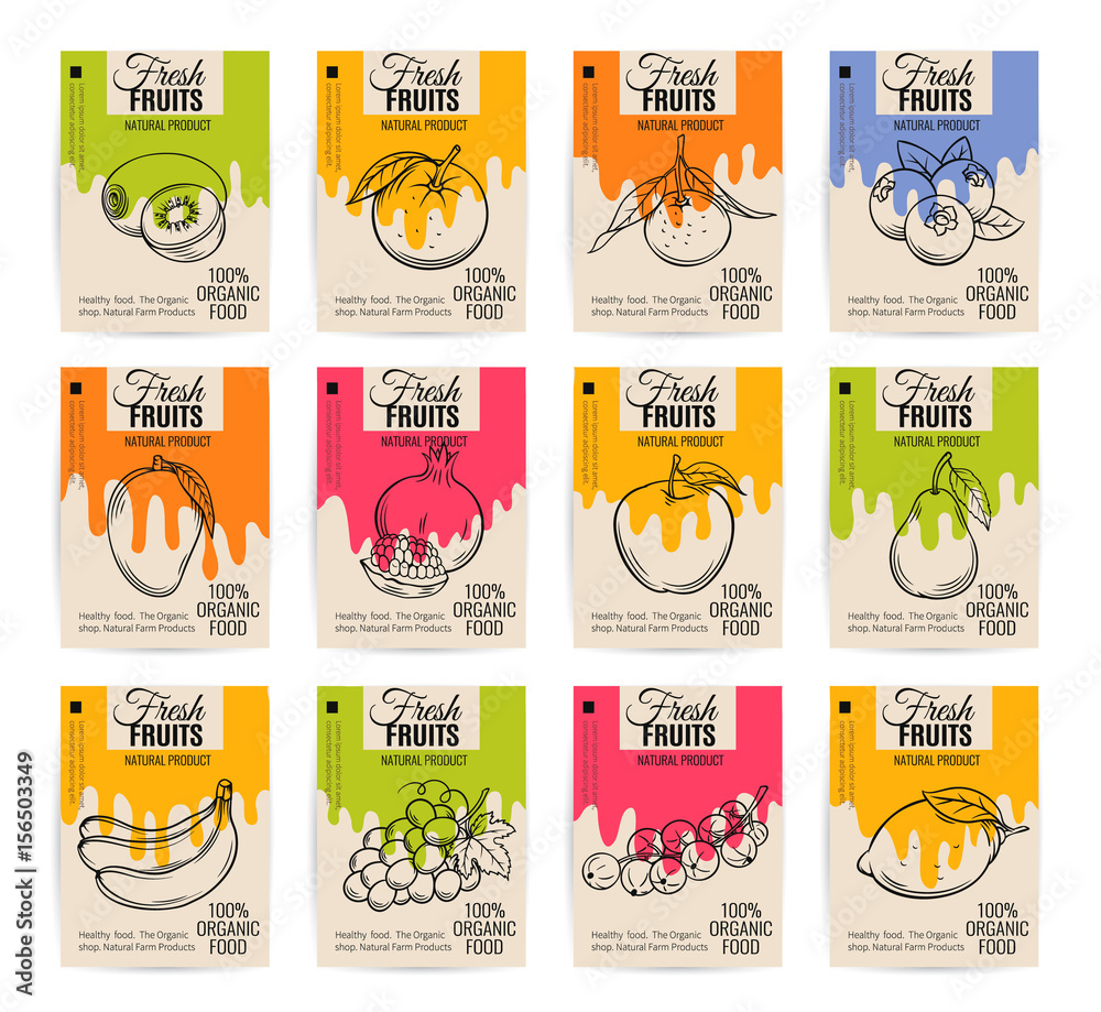 Vector hand drawn fruits posters Stock Vector | Adobe Stock
