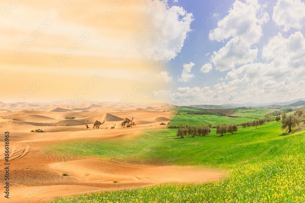 Poster Climate change with desertification process – Wall Art | UkPosters