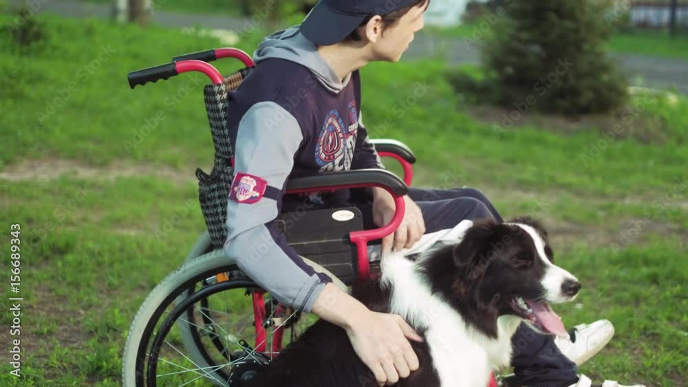 A disabled person plays with a dog, canitis therapy, disability ...