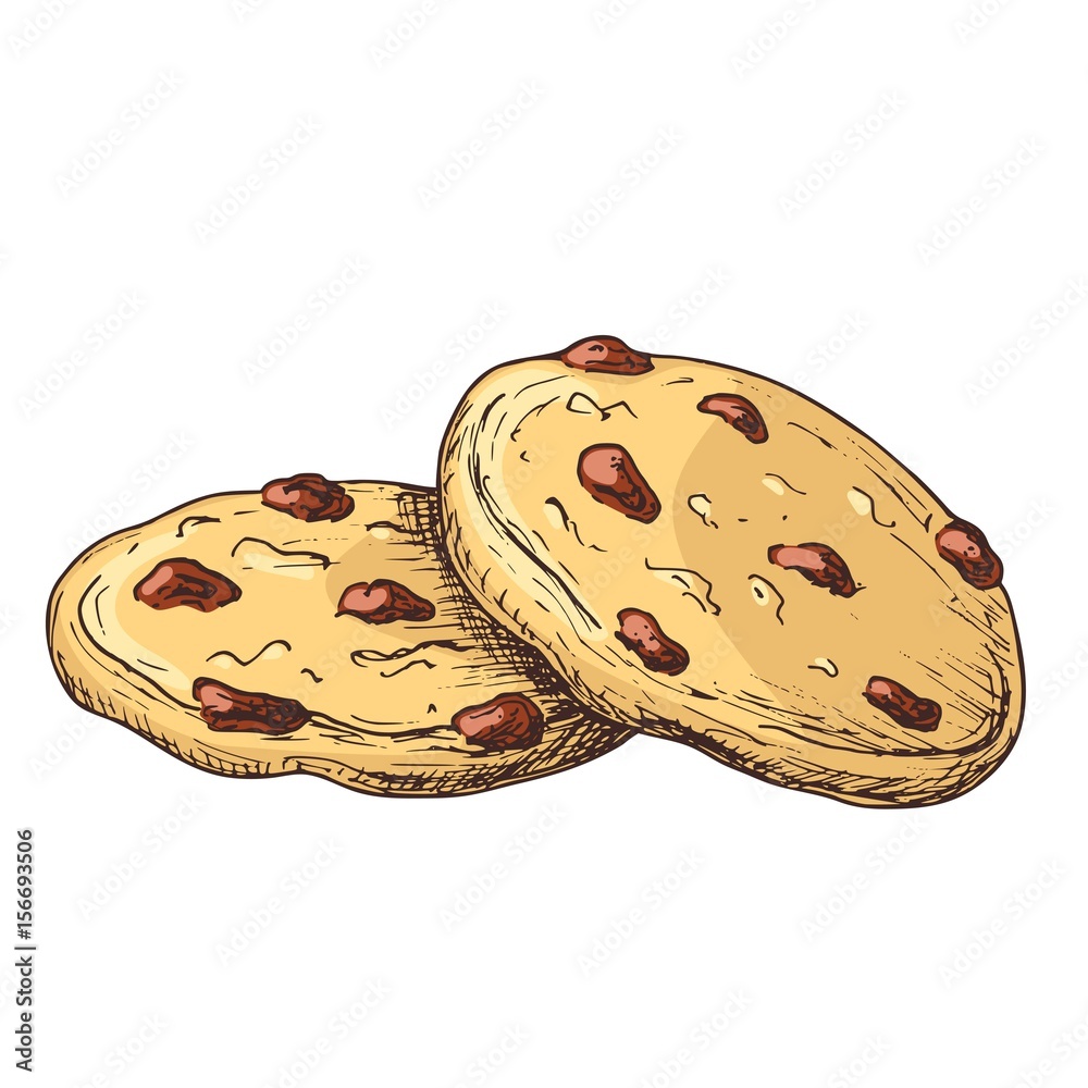 Sketch colorful graphic cookies illustration, draft silhouette drawing ...