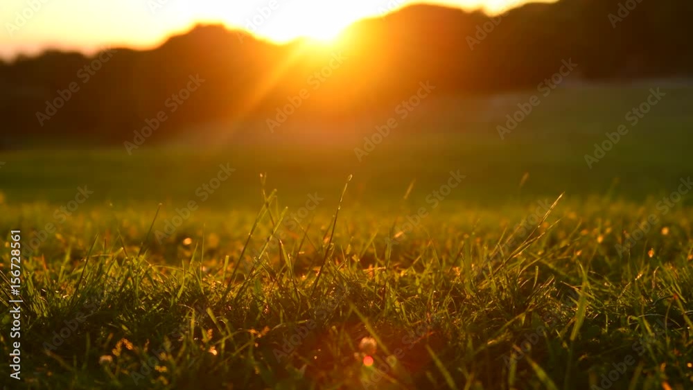 Alpine meadow over sunset. Beautiful nature landscape. 4K UHD video ...