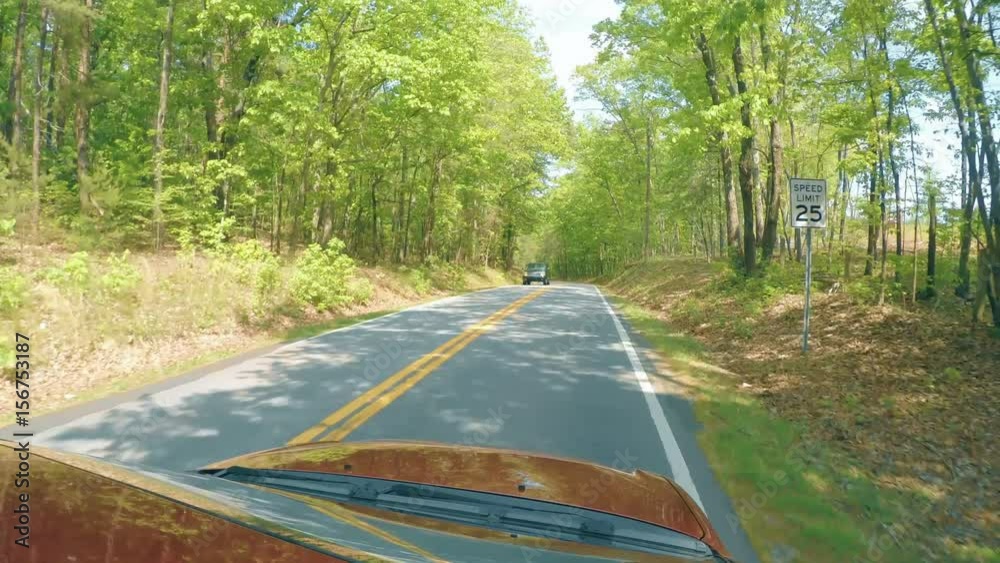 Car Front Point of View Driving Curvy Forest Road. front end of a red ...