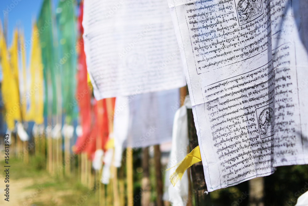 Buddhist prayer flags, Sikkim, India Stock Photo | Adobe Stock