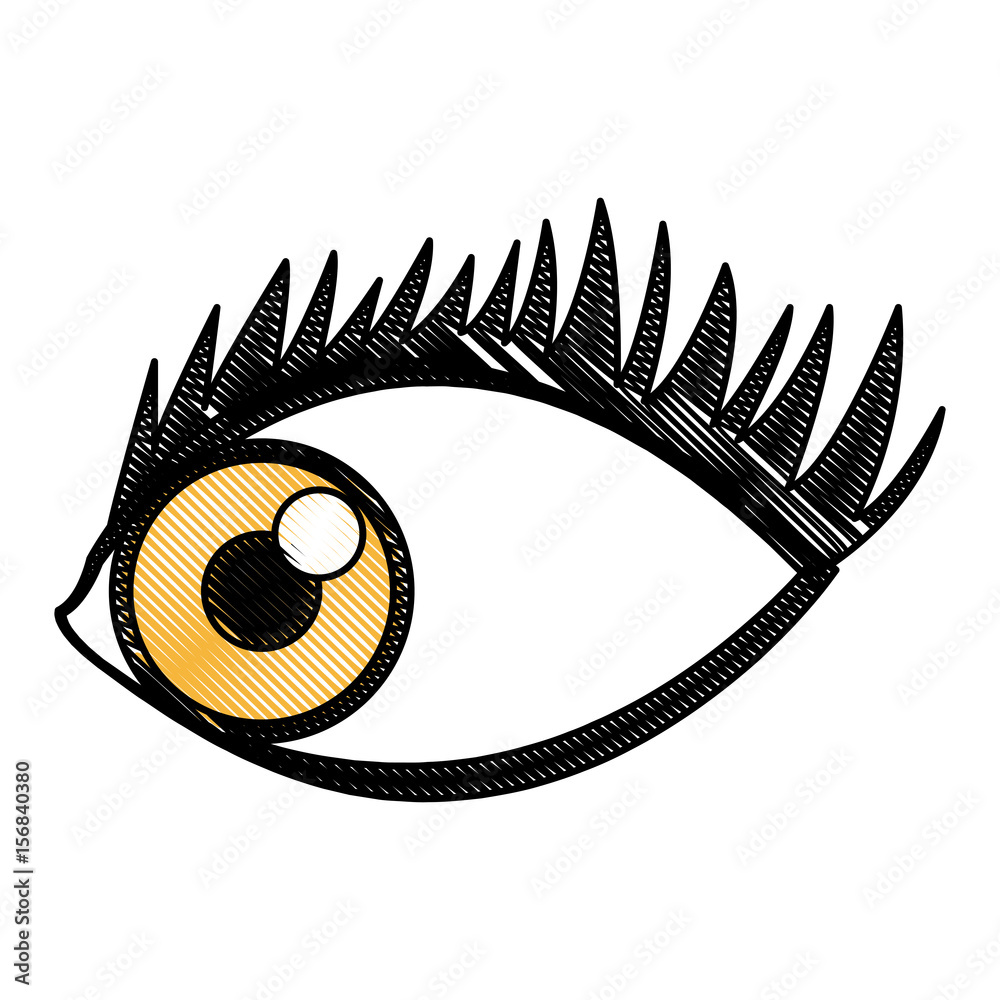 cartoon eye human look watch icon vector illustration Stock Vector ...
