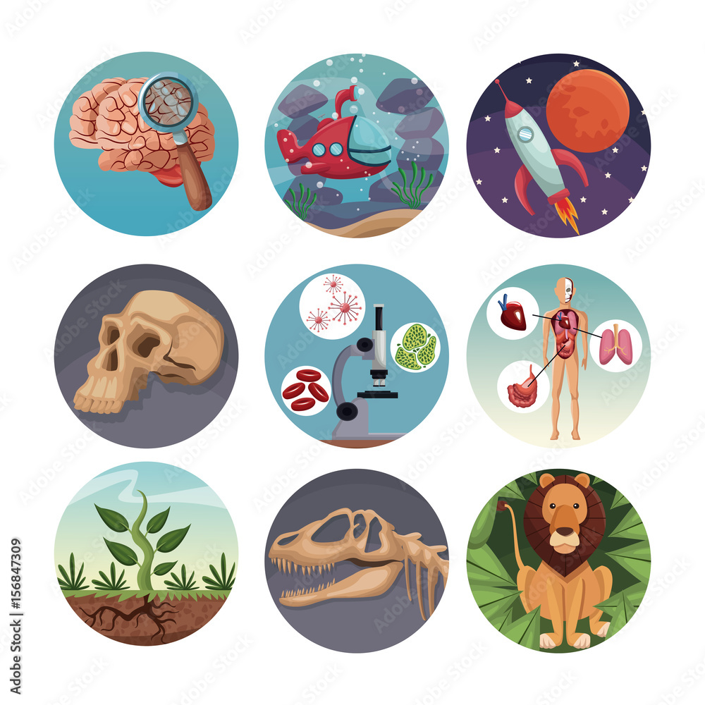 white background with circular buttons with picture world evolution ...