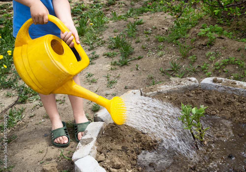 Little toddler boy watering plants with watering can in the gard Stock ...