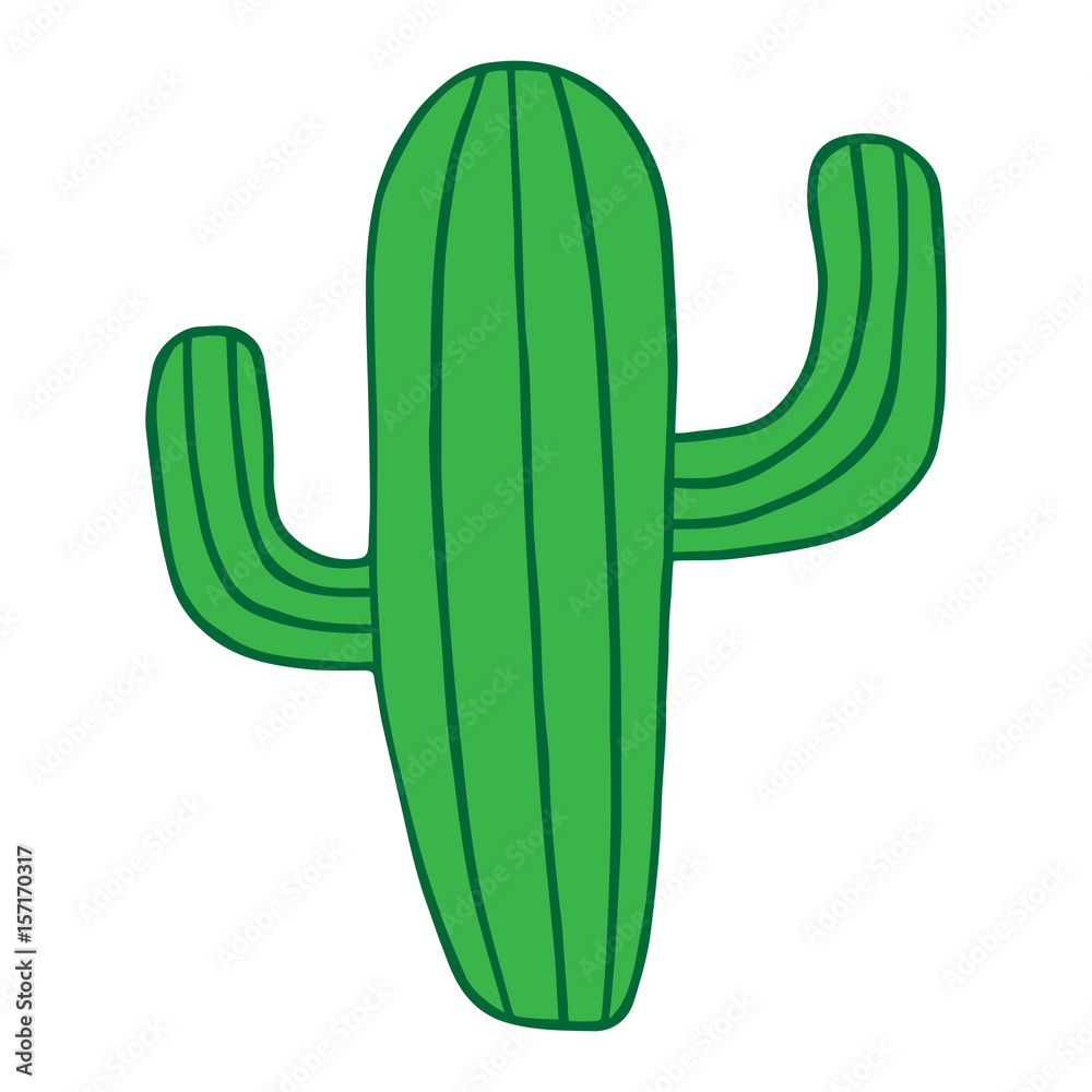 Green cactus plant isolated vector illustration drawing. Mexican cactus ...