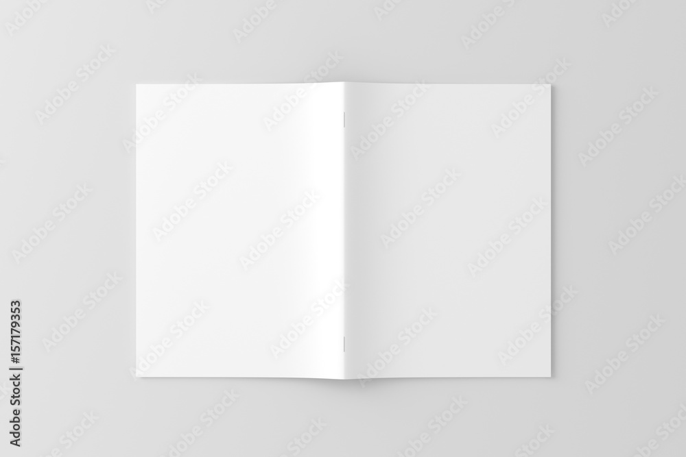 A4 / A5 / A6 Brochure / Magazine / Book Stock Illustration | Adobe Stock