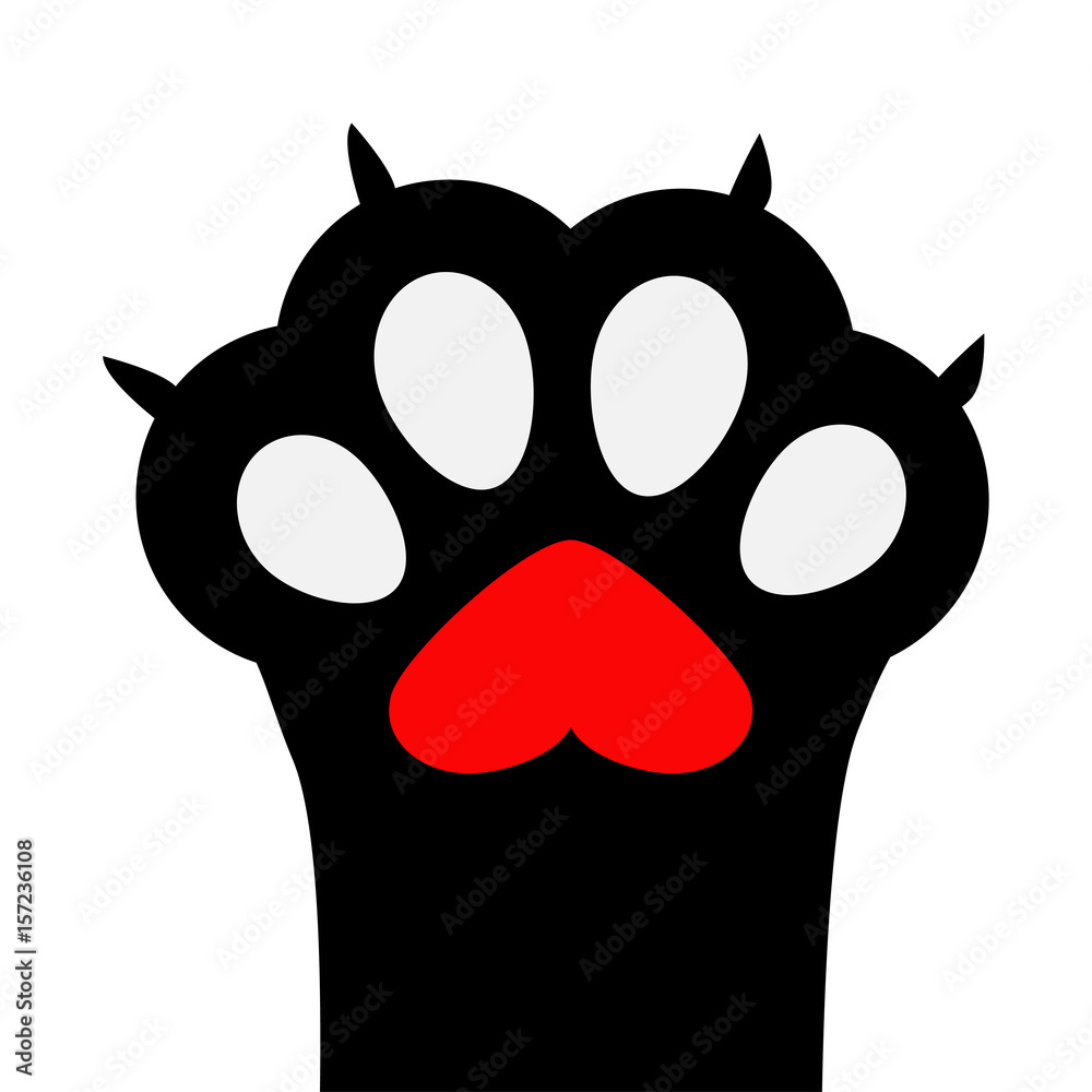 Paw Print Toe Nail