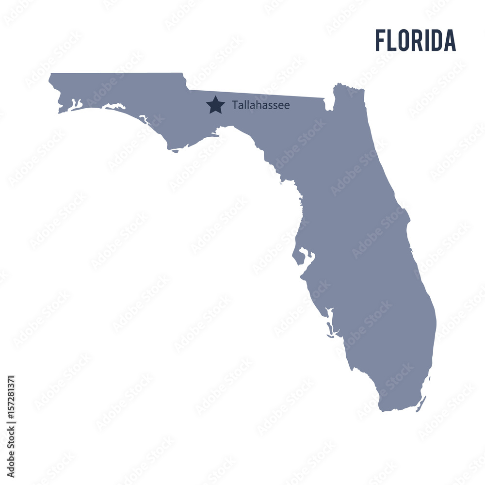 Vector map State of Florida isolated on white background. Stock Vector ...