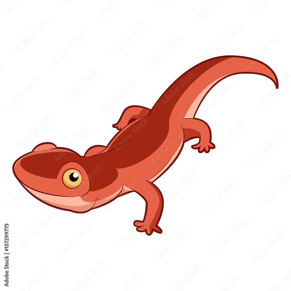 Cartoon smiling Newt Stock Vector | Adobe Stock