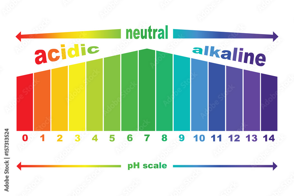 pH scale value , vector isolated Stock Vector | Adobe Stock