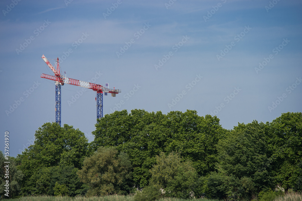Construction crane towering above the trees, city and nature Stock ...