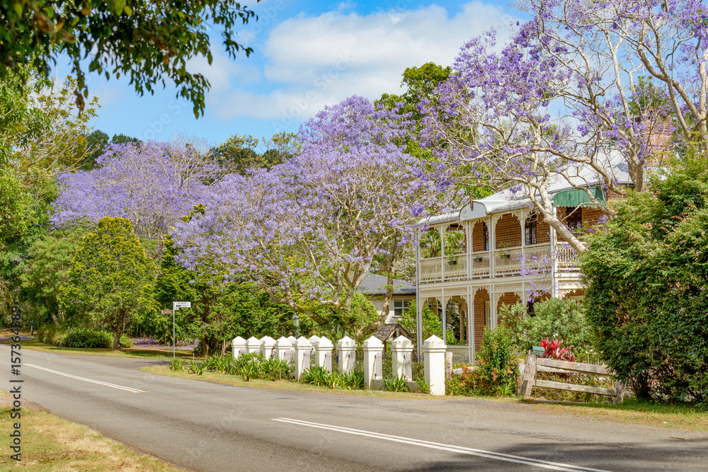 Jacaranda trees in full bloom outside of a beautiful Victorian house in ...
