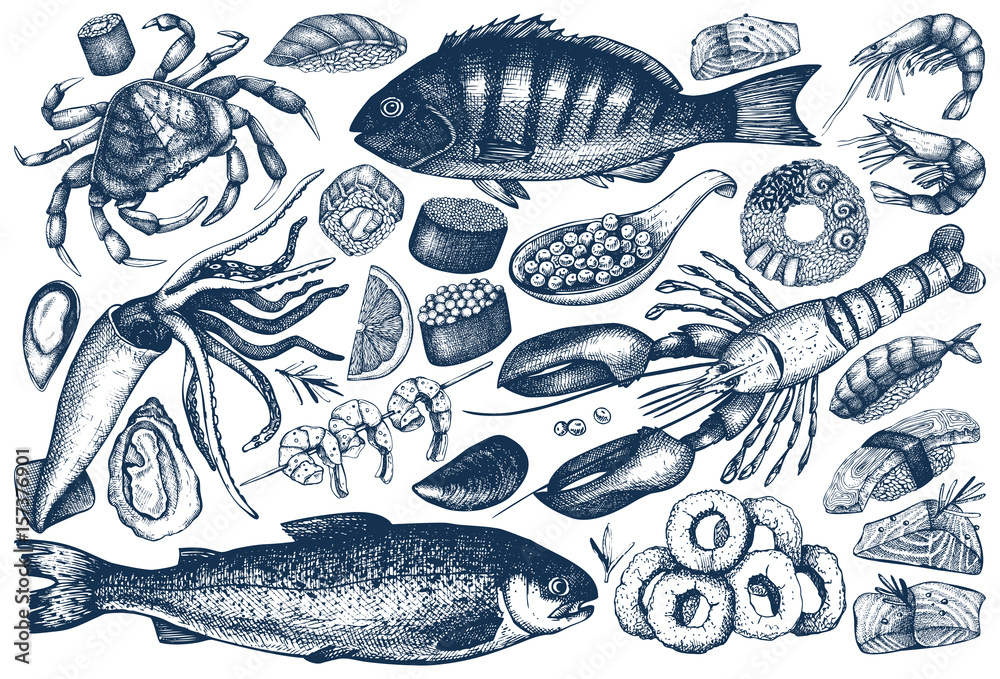 hand drawn Seafood illustrations set Stock Vector | Adobe Stock