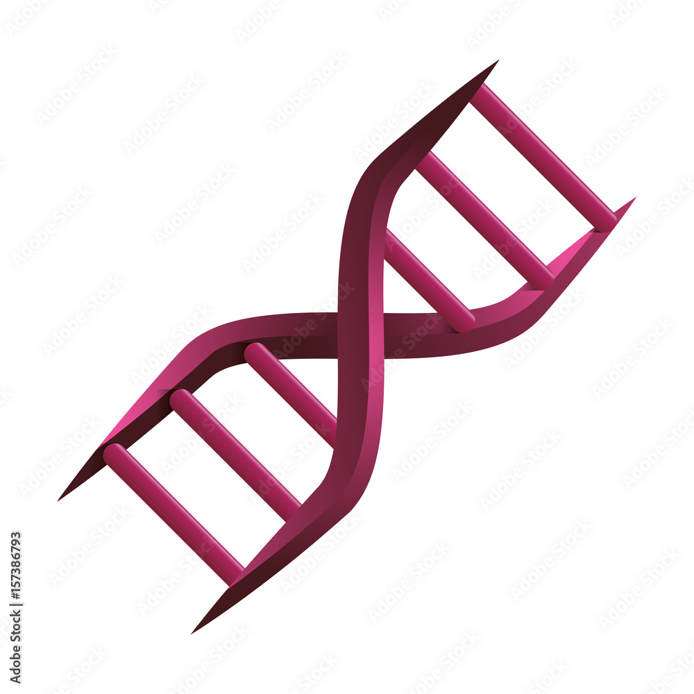 DNA human symbol icon vector illustration graphic design Stock Vector ...