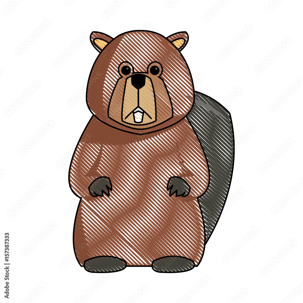 cartoon beaver teeth animal of forest vector illustration Stock Vector ...