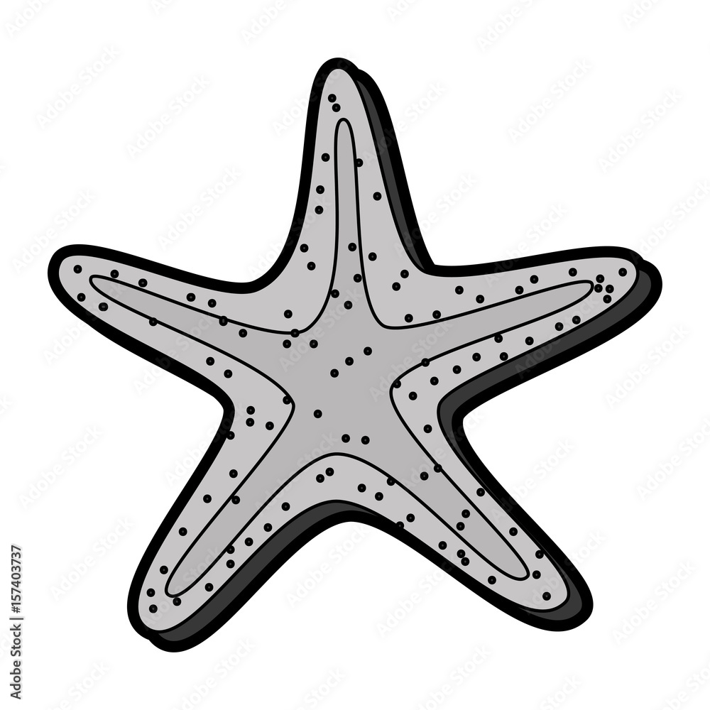 Starfish Graphic Design