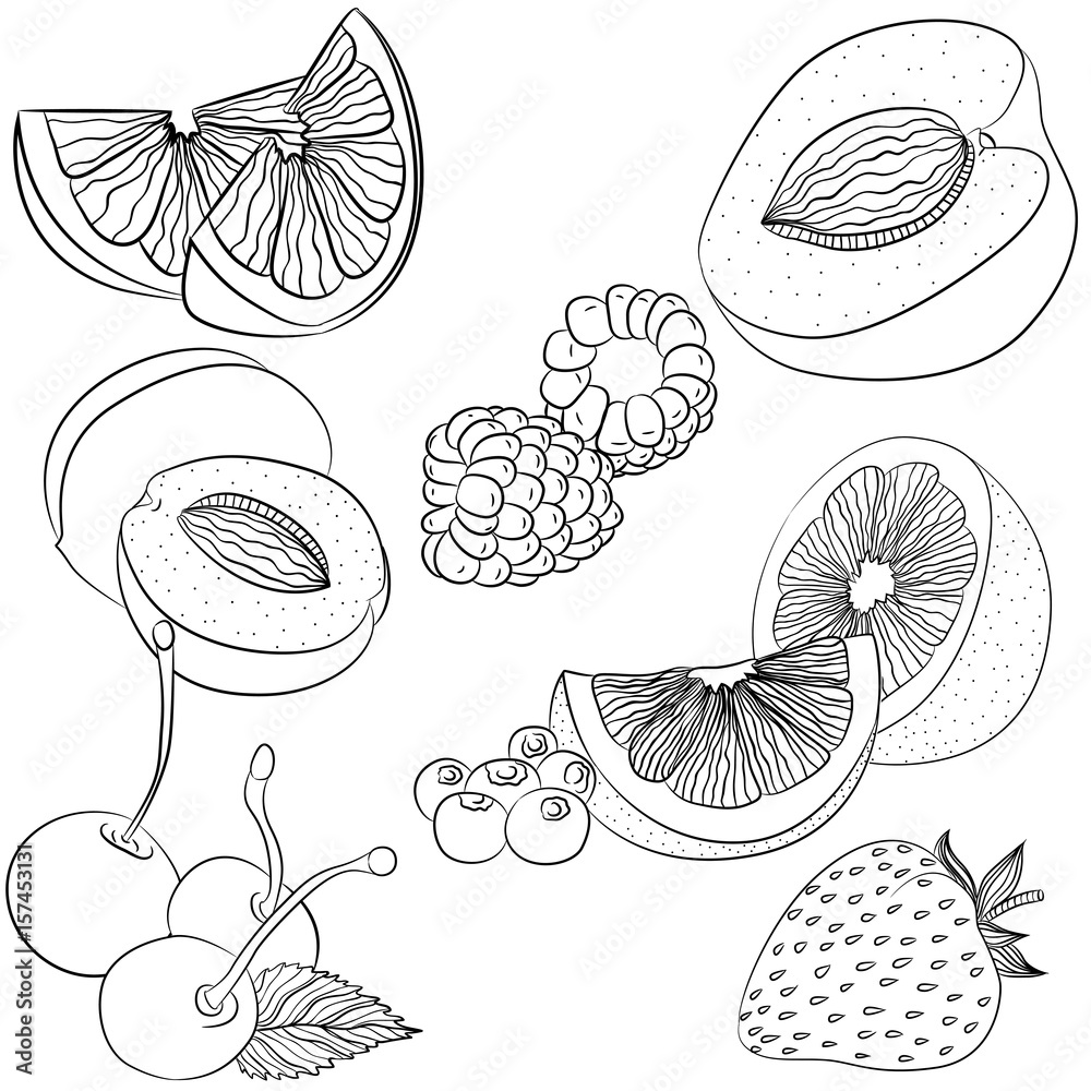 Vector line art illustration with food. Set with various fruits and ...