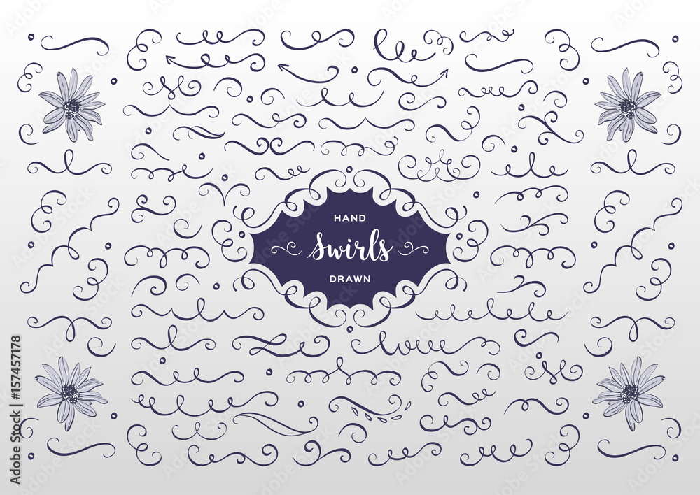 Vector swirls and flourish collection. Hand drawn design elements ...