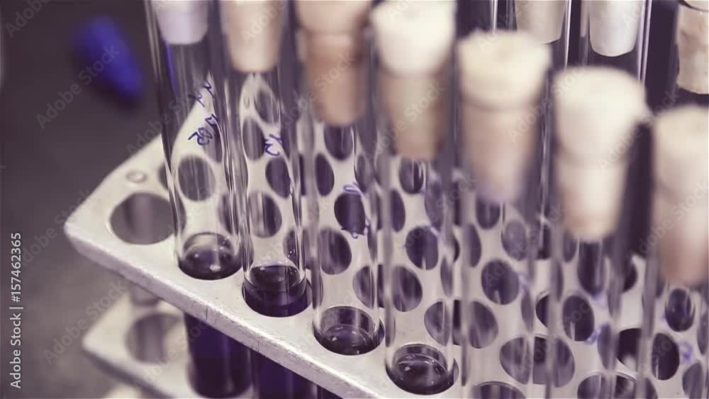 Vidéo Stock Glass high test tubes with colored liquid stand on table in ...