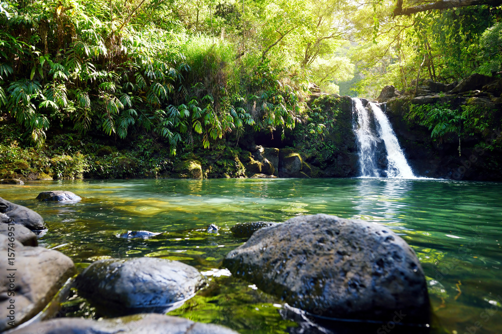 Tropical waterfall Lower Waikamoi Falls and a small crystal clear pond ...