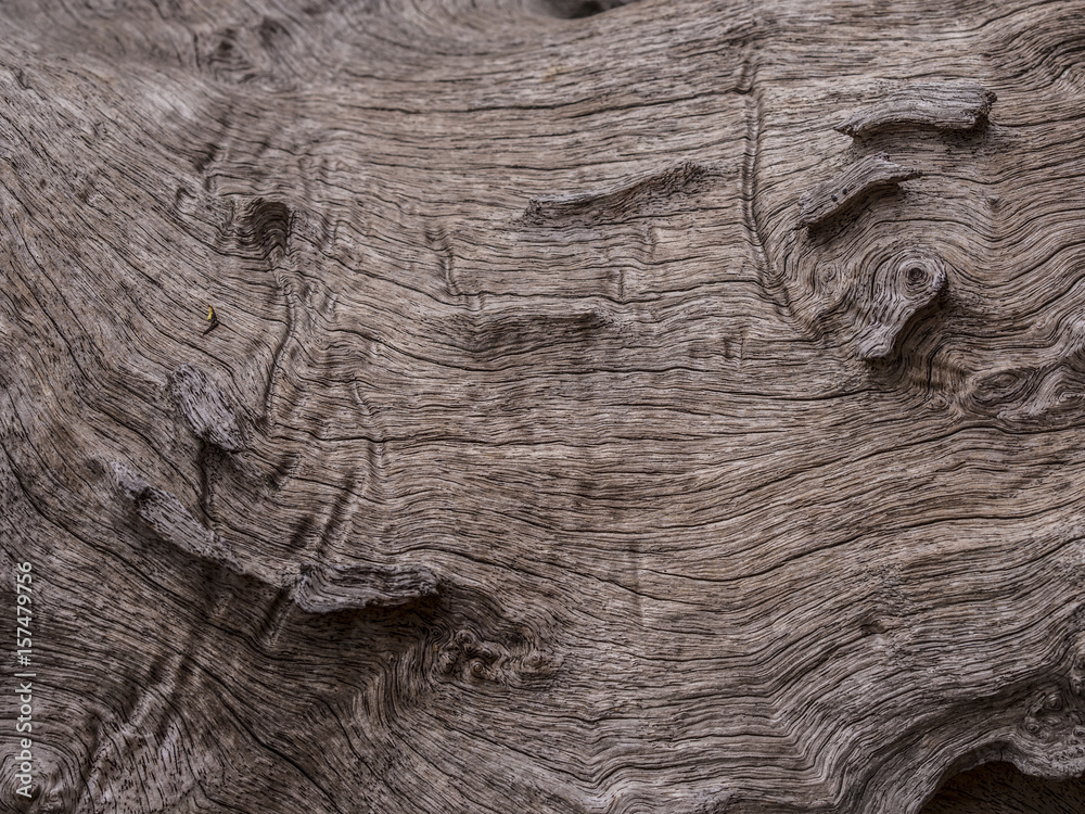 Poster Timber – Wall Art | UkPosters