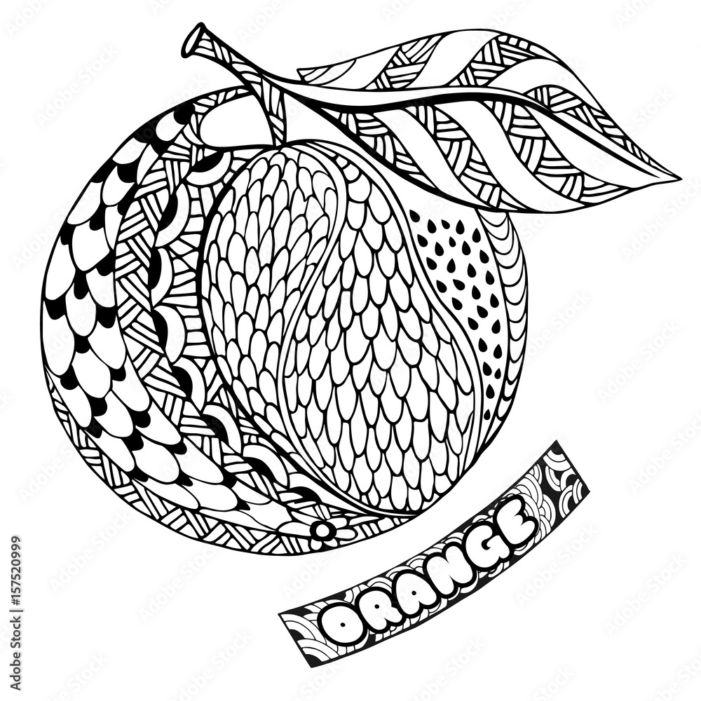 Orange fruit. Doodle and zentangle style. Hand drawn. Vector ...