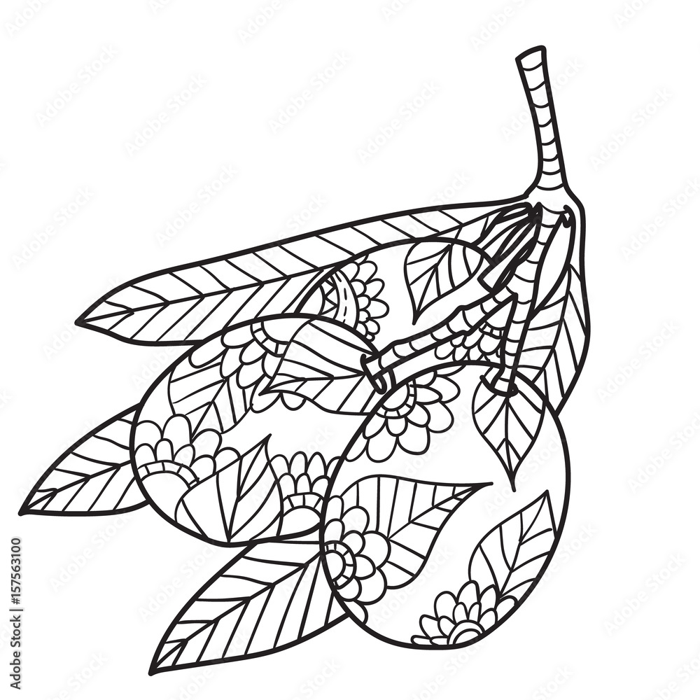 Olive Coloring Page