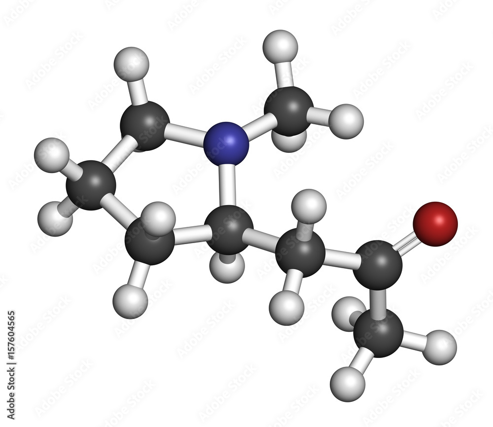 Hygrine coca alkaloid molecule. 3D rendering. Atoms are represented as ...