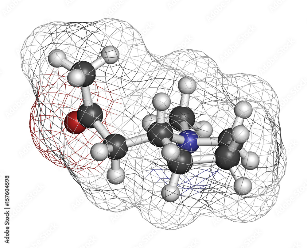 Hygrine coca alkaloid molecule. 3D rendering. Atoms are represented as ...