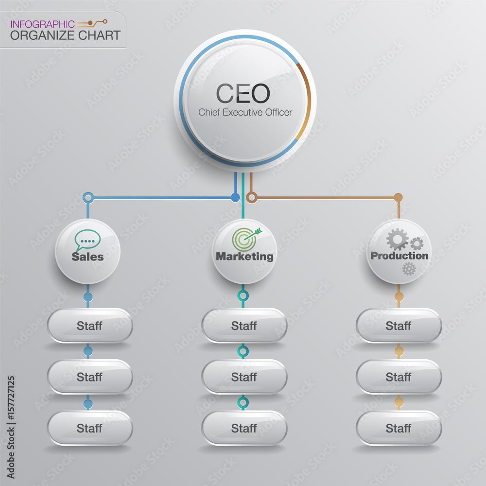 organize chart infographic. Business structure. Vector design. Stock ...