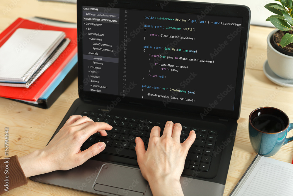 Coding Code Program Programming Developer Compute Web Development Coder Work Design Software