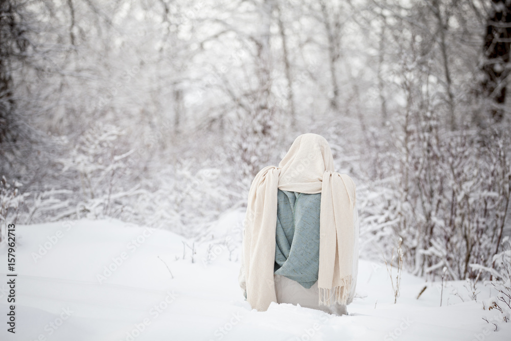 Jesus Christ kneeling and praying in the snow. Stock Photo | Adobe Stock