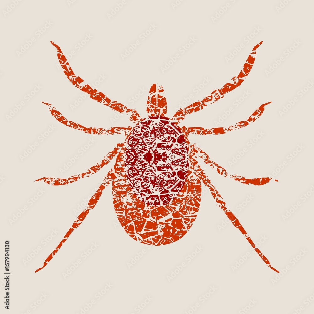 Insect silhouette.Tick parasite. Sketch of Tick. Mite. Tick isolated on ...