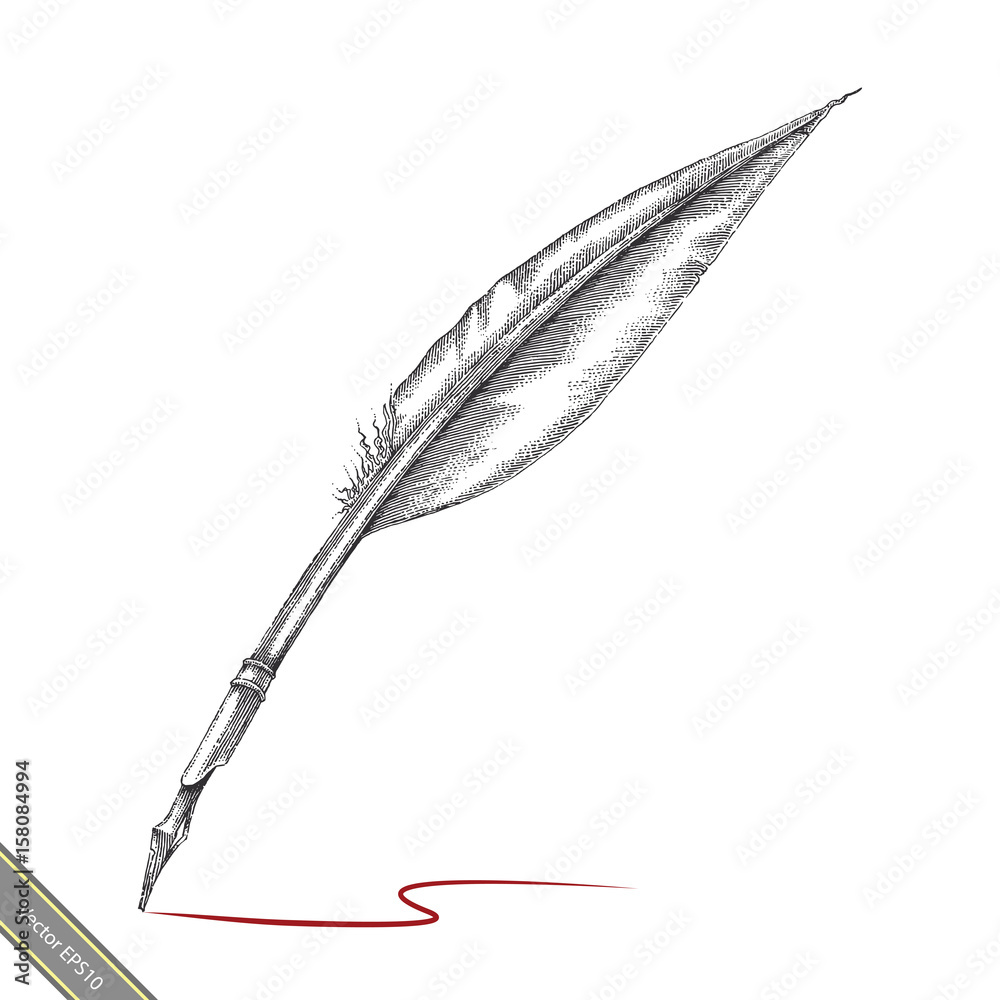Quill pen hand drawing clipart Stock Vector | Adobe Stock