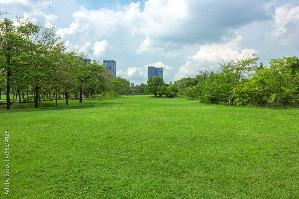 Green grass field in park at city center with blue sky Stock Photo ...